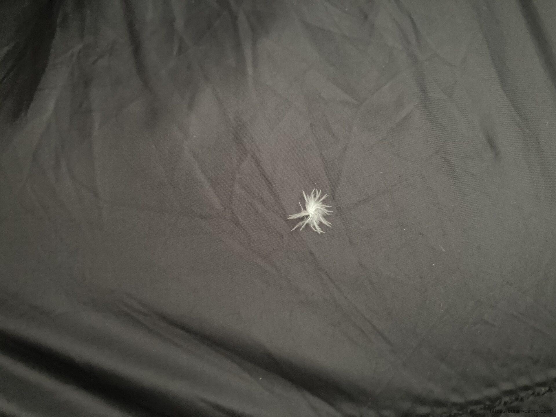 【NANGA】オーロラ600DX 3ten別注モデル レビュー 信頼の暖かさと寝心地、冬に最適なダウンシュラフ - ぶらりキャンプブログ